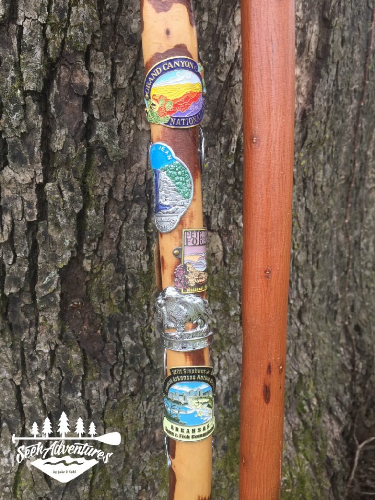 5 Reasons to Use a Walking Stick