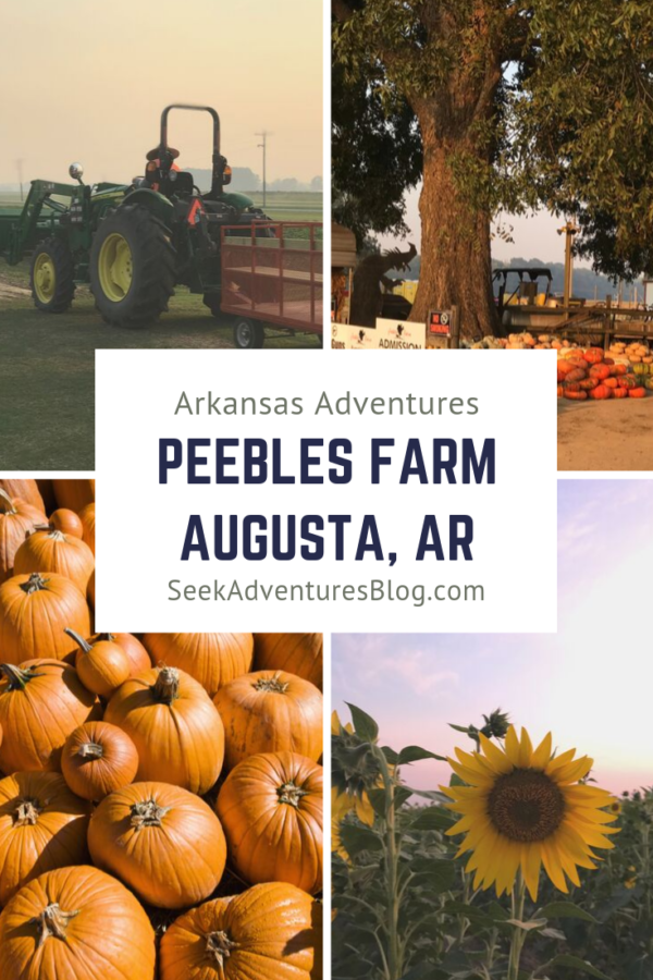 Adventures at a Pumpkin Patch: Peebles Farm - Augusta, AR