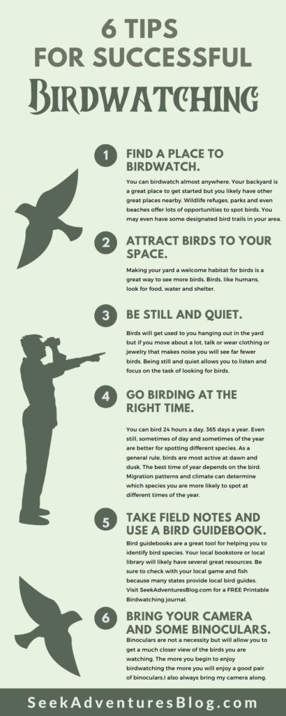 Birdwatching Tips for Beginners | Printable Birdwatching Journal