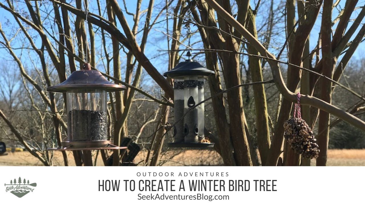 How to Create a Winter Bird Tree | How To Make Birdseed Ornaments and ...