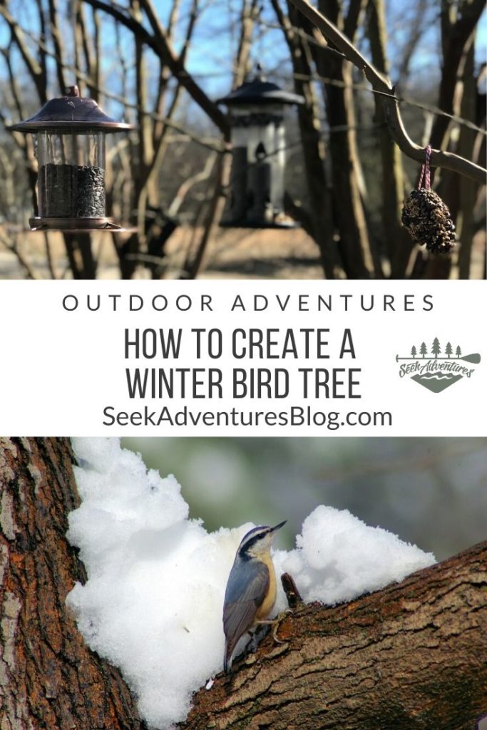 How to Create a Winter Bird Tree | How To Make Birdseed Ornaments and ...