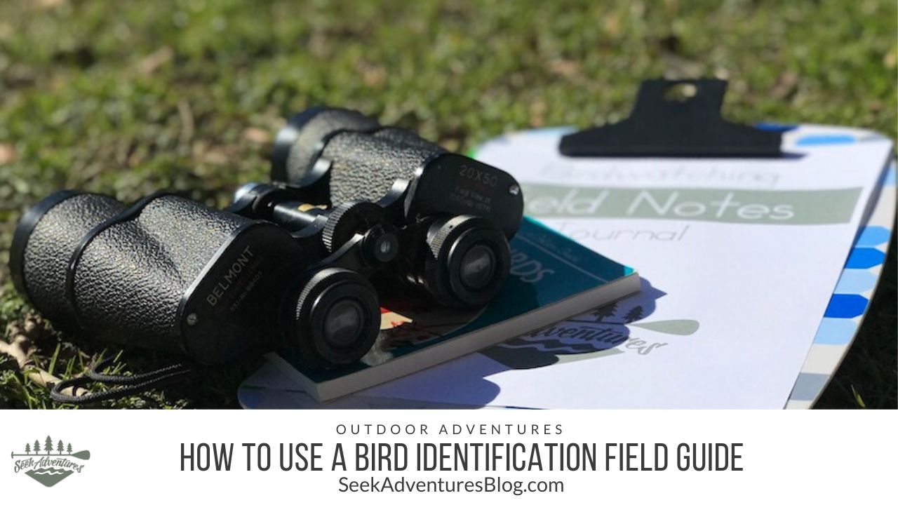 How To Use a Bird Identification Field Guide