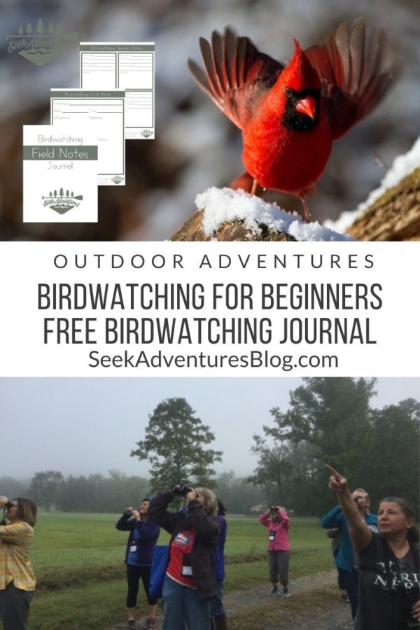 Birdwatching Tips for Beginners | Printable Birdwatching Journal