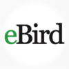 4 FREE Birdwatching Apps to Download Today