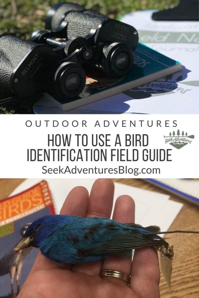 How To Use a Bird Identification Field Guide