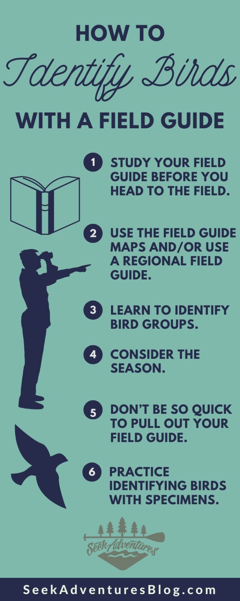 How To Use a Bird Identification Field Guide