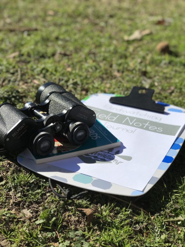 How To Use a Bird Identification Field Guide