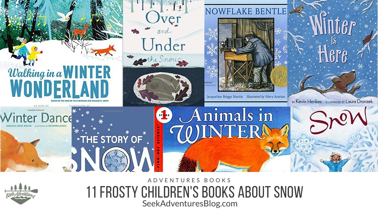 11 Frosty Books About Snow