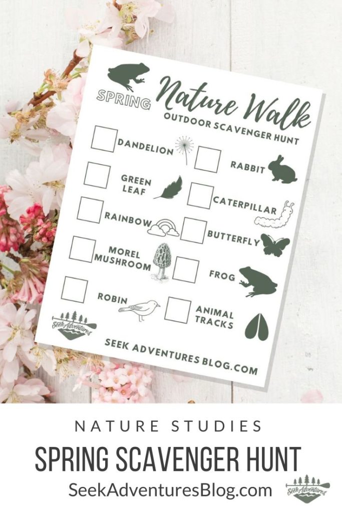 Explore Nature with a Spring Scavenger Hunt