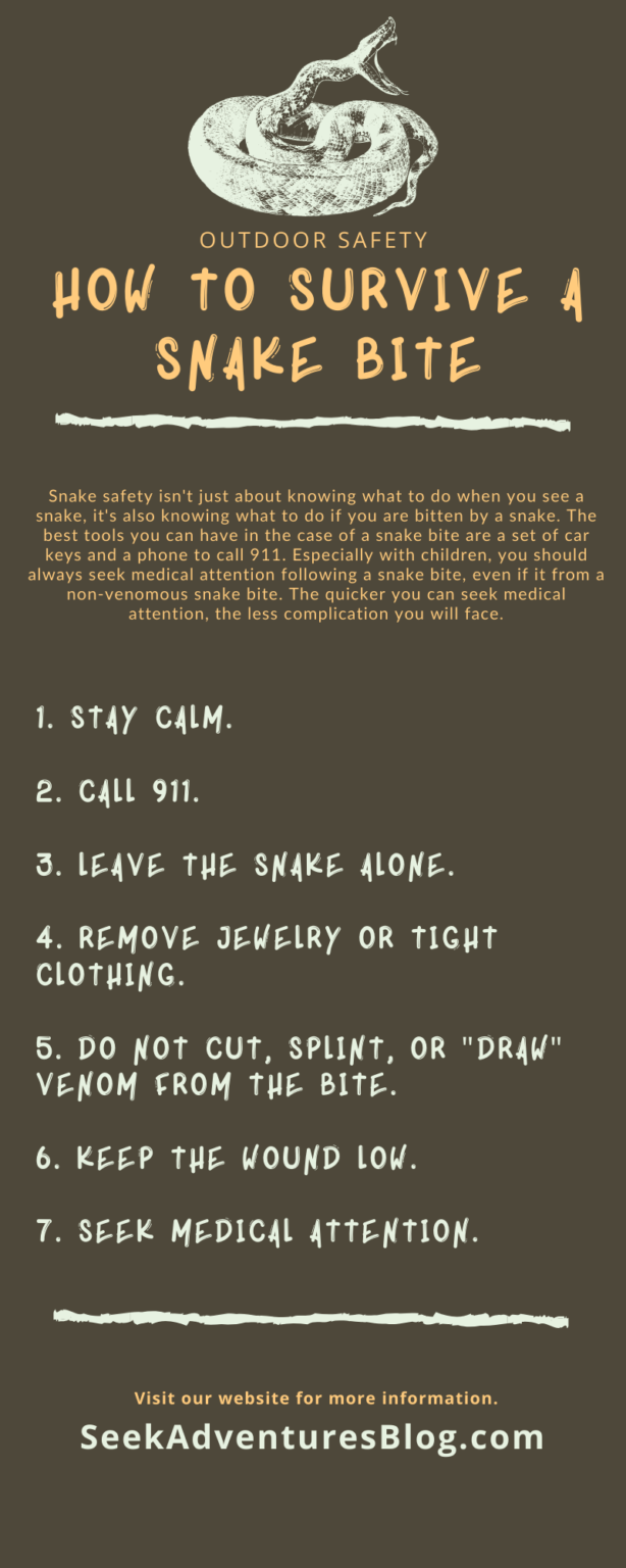Snake Safety for Kids and Families