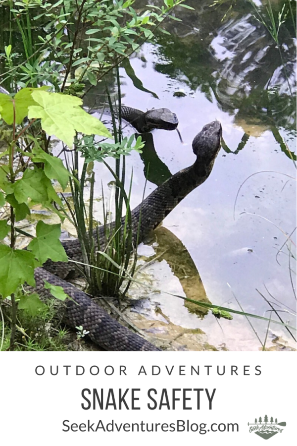 Snake Safety for Kids and Families