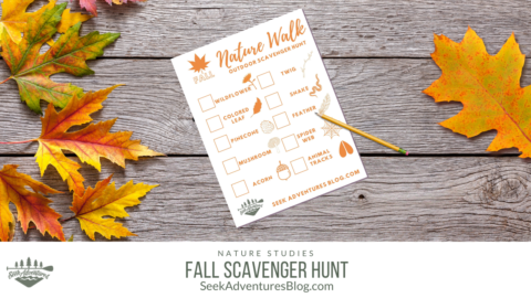 Fall Nature Walk Outdoor Scavenger Hunt | Seek Adventures Blog