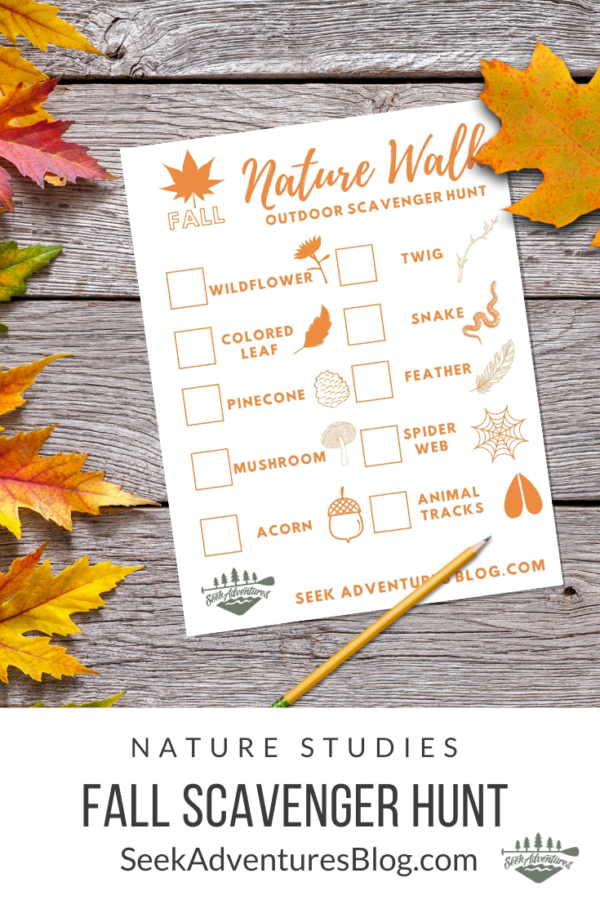 Explore Nature with a Fall Scavenger Hunt