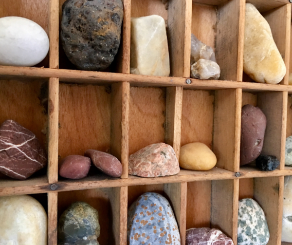 How to Create a Nature Collection - Cabinet of Curiosities